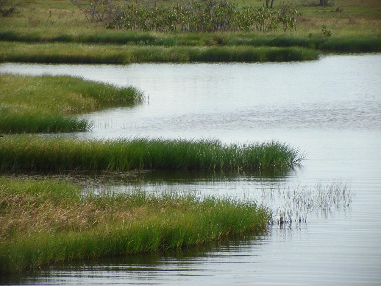 Códigos Postales del Estado Guarico - Notilogía