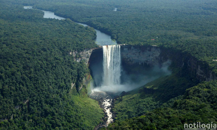 Símbolos Patrios del Esequibo - Notilogía