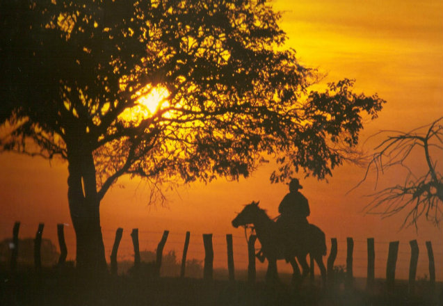 Población y Demografía del Estado Apure Venezuela 2015 - Notilogía