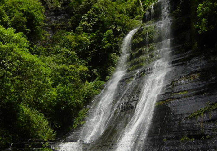 Población y Demografía del Estado Monagas Venezuela 2015 - Notilogía