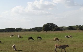 🔎 Conoce los fascinantes climas de Venezuela - 2024