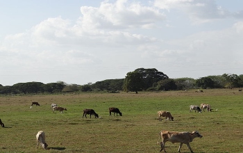 🔎 Conoce los fascinantes climas de Venezuela - 2024