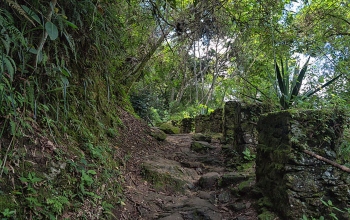 🌳 Los Parques Nacionales más Visitados en Venezuela 2026